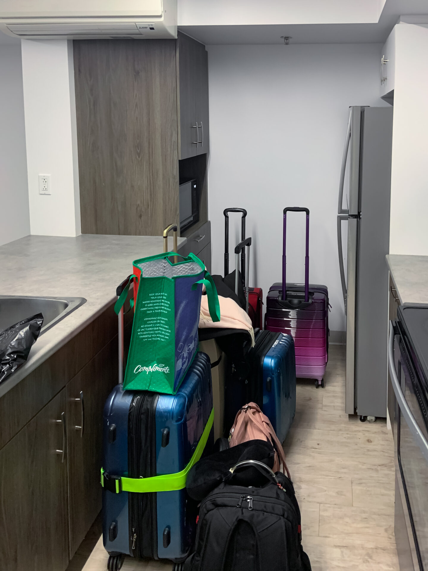 What it’s like being on a Dependent Visa in Japan ⋆˙ Kat in Japan