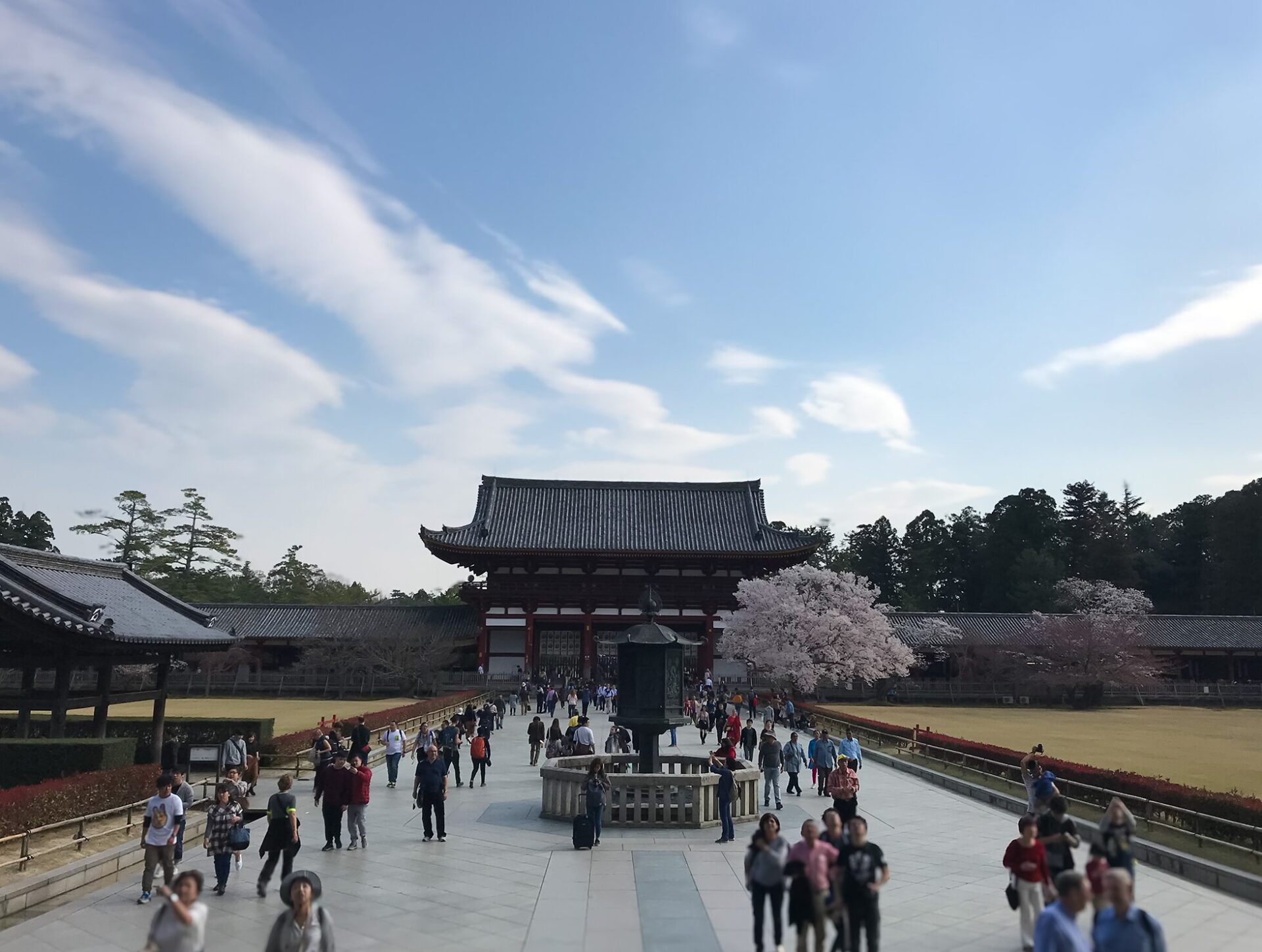 The Best Places to see Sakura in Tokyo and Kyoto [2025] ⋆˙ Kat in Japan
