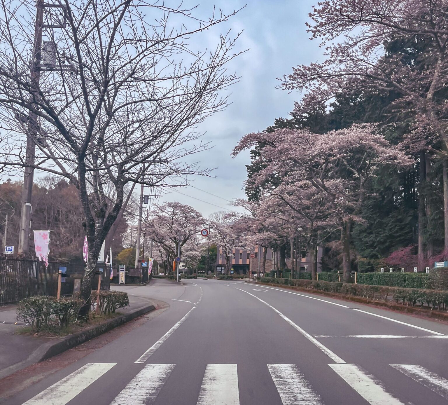 Your guide to ETC cards in Japan ⋆˙ Kat in Japan